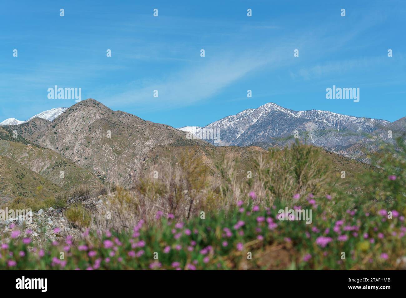 View of snow on the San Gorgonio Mountain from the Mission Creek ...