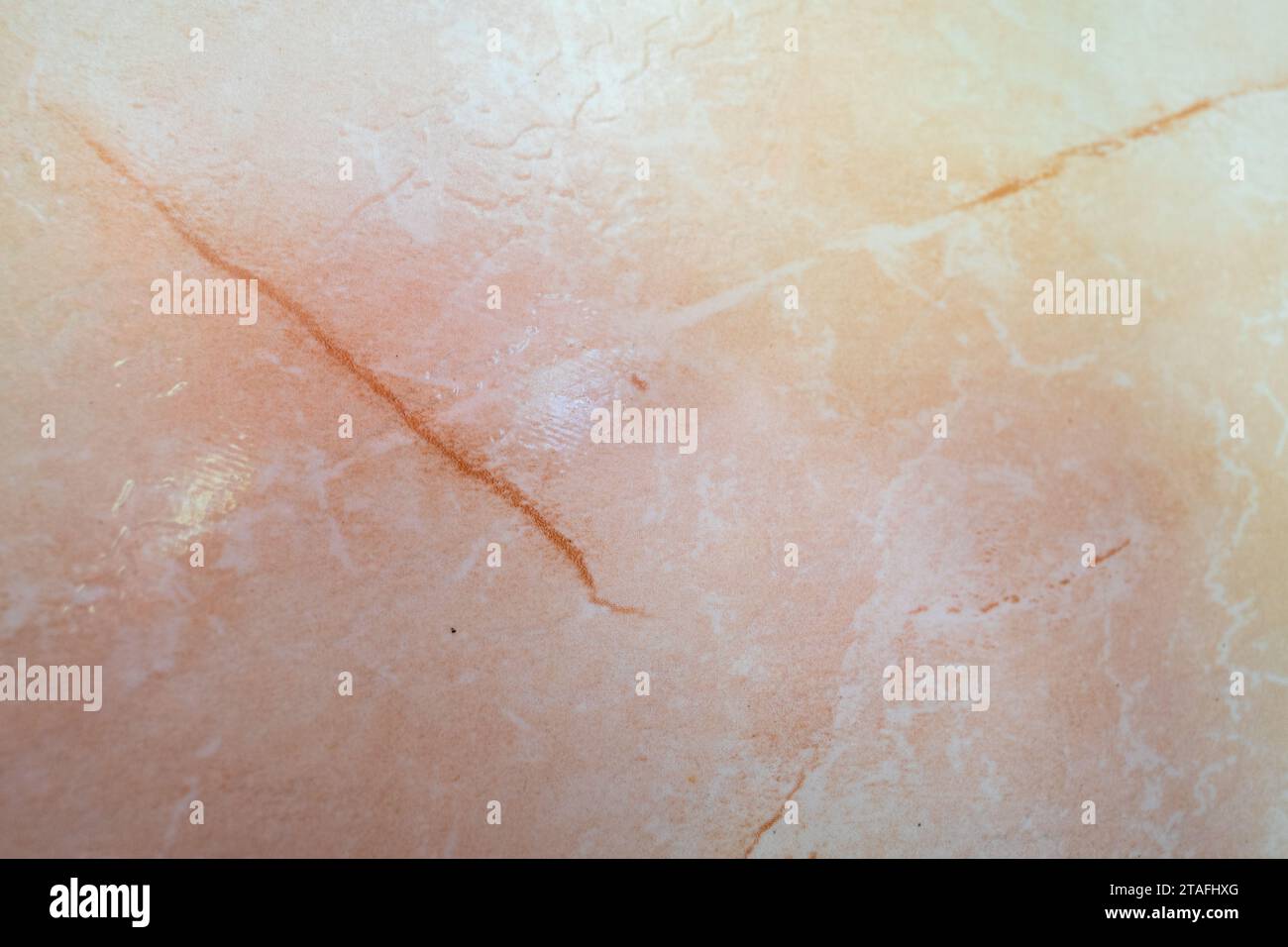 Spongy texture hi-res stock photography and images - Alamy