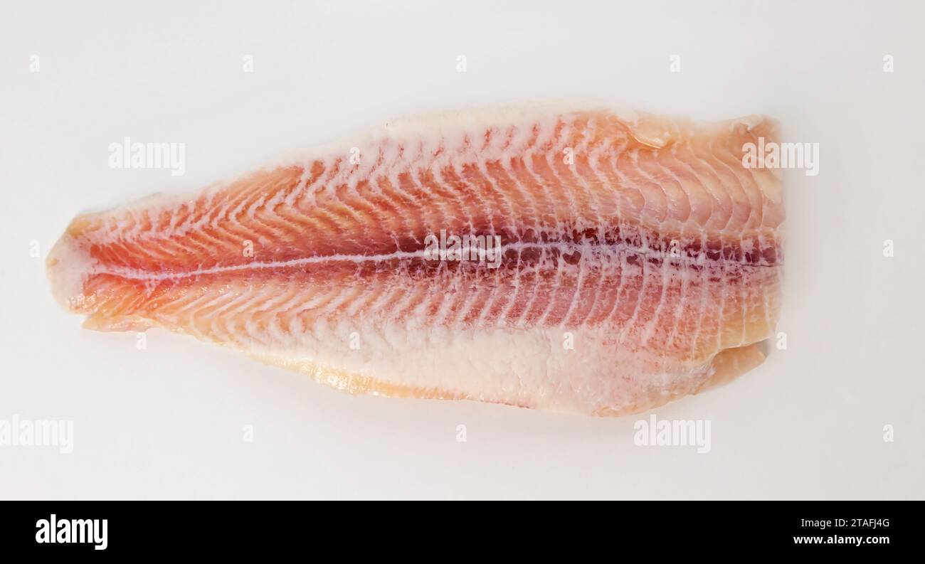 Raw fillet, fresh fillet of sea bass isolated on white background Stock ...