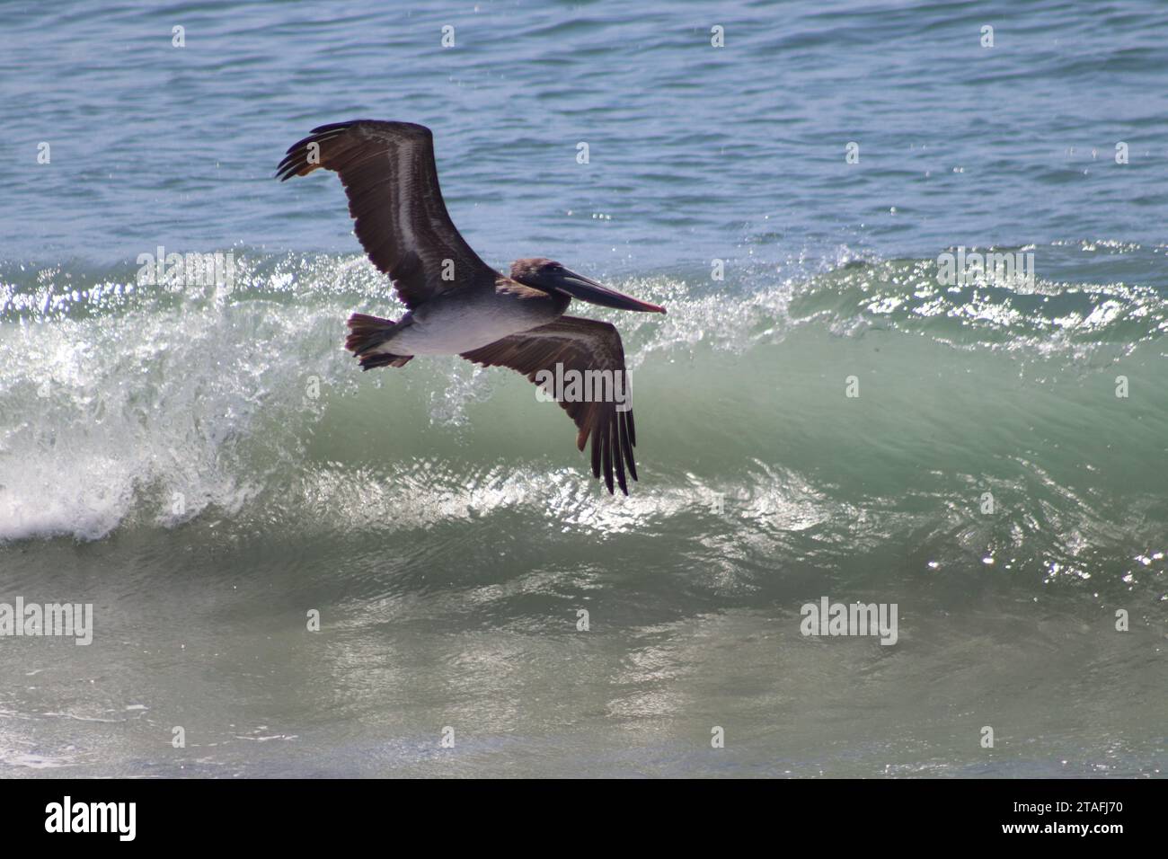 Flight above pacific ocean coast hi-res stock photography and images ...
