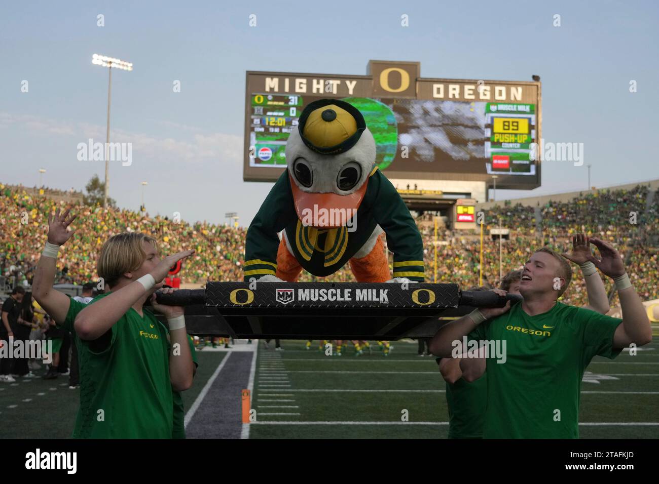 Oregon Ducks mascot Puddles does pushups after a touchdown during an ...