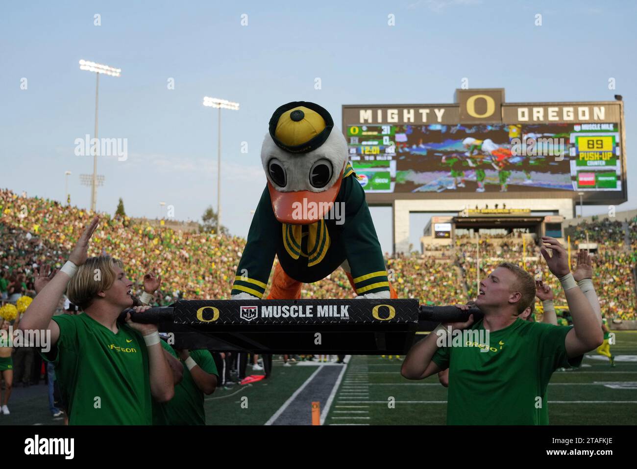 Oregon Ducks mascot Puddles does pushups after a touchdown during an ...