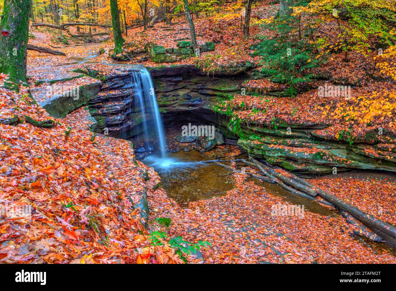 View of Dundee Falls in Autumn, Beach City Wilderness Area, Ohio Stock ...
