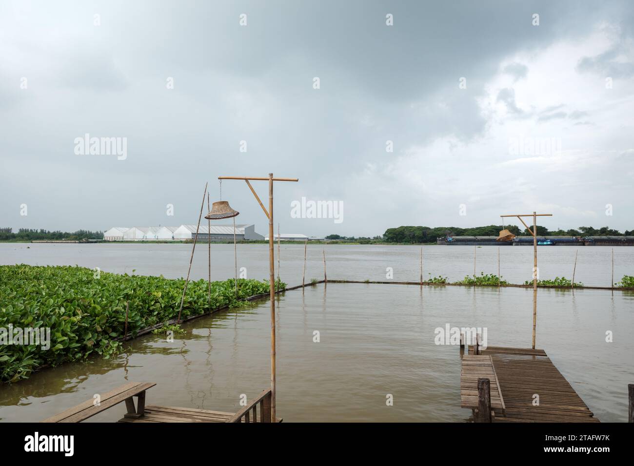 River Repose: Wooden Pier Extending into Tranquil Chao Phraya River in ...