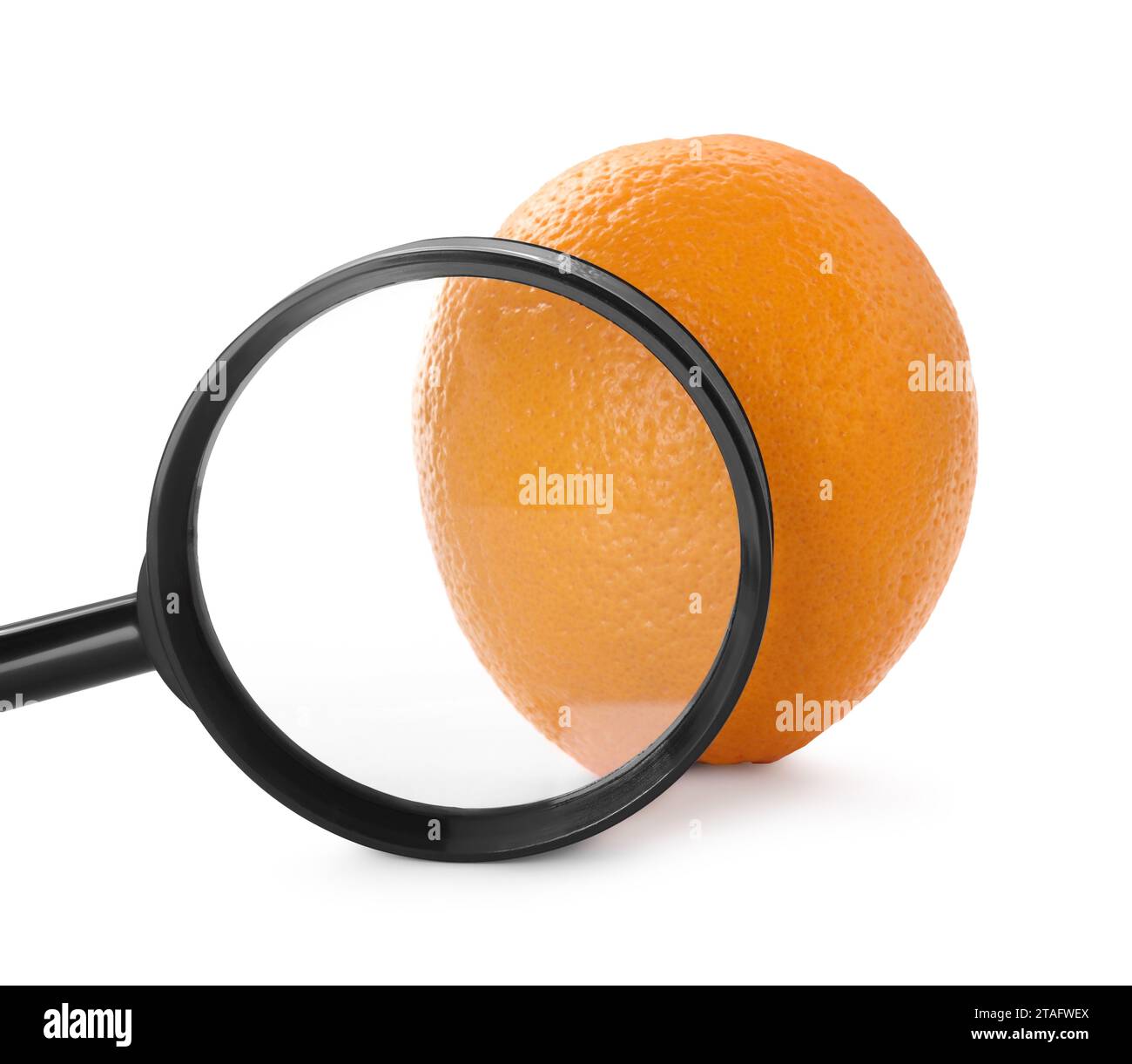 Cellulite problem. Orange and magnifying glass isolated on white Stock ...