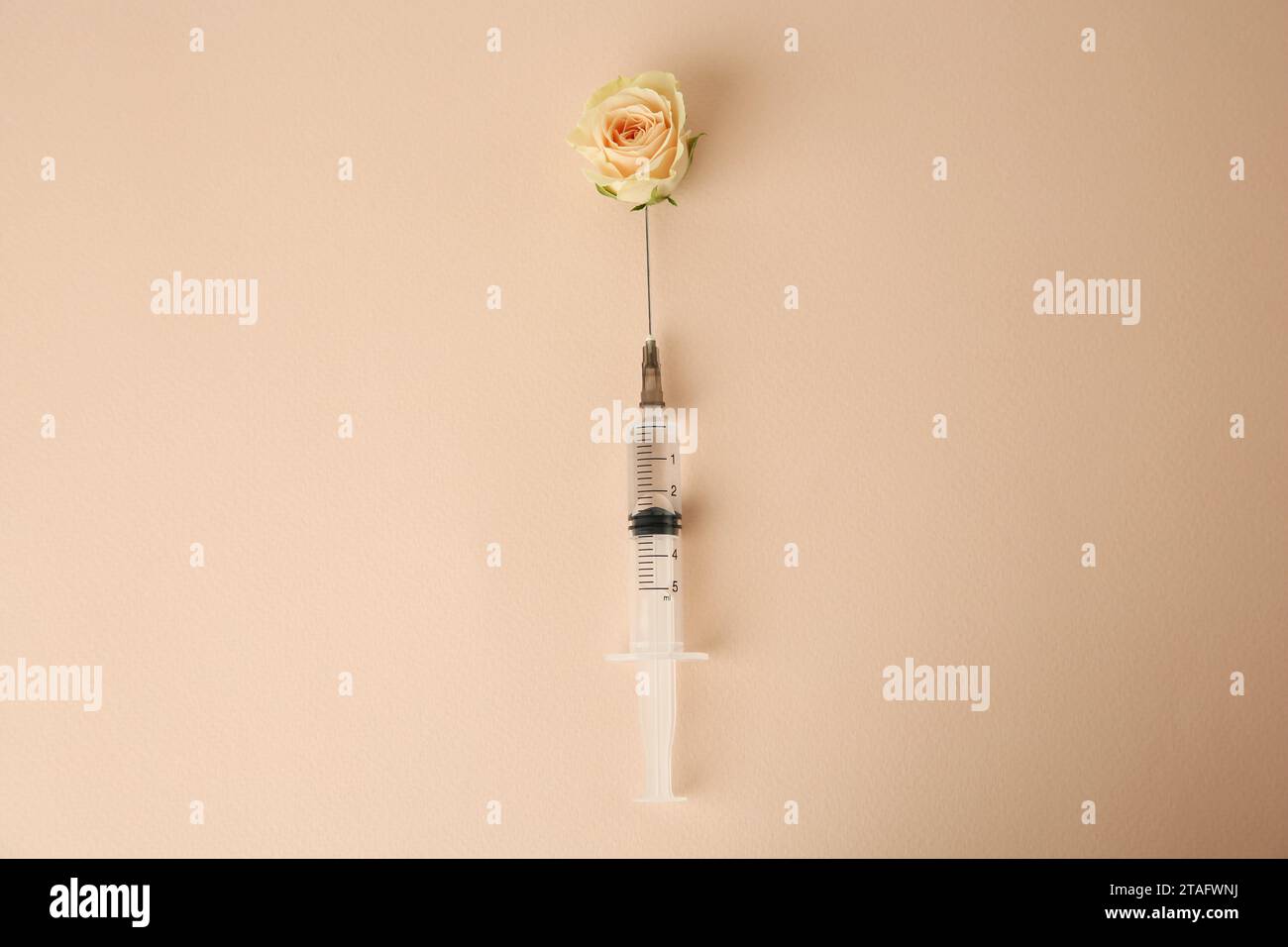 Medical syringe and beautiful rose on beige background, top view Stock ...