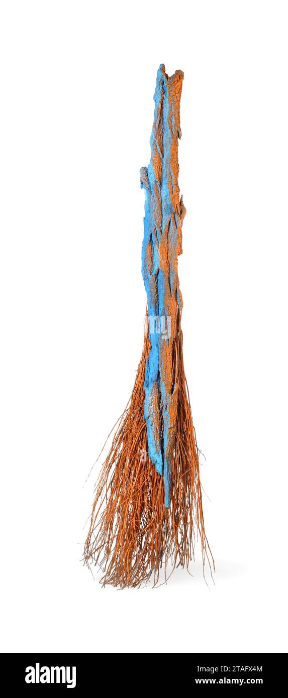 Witchs staff hi-res stock photography and images - Alamy