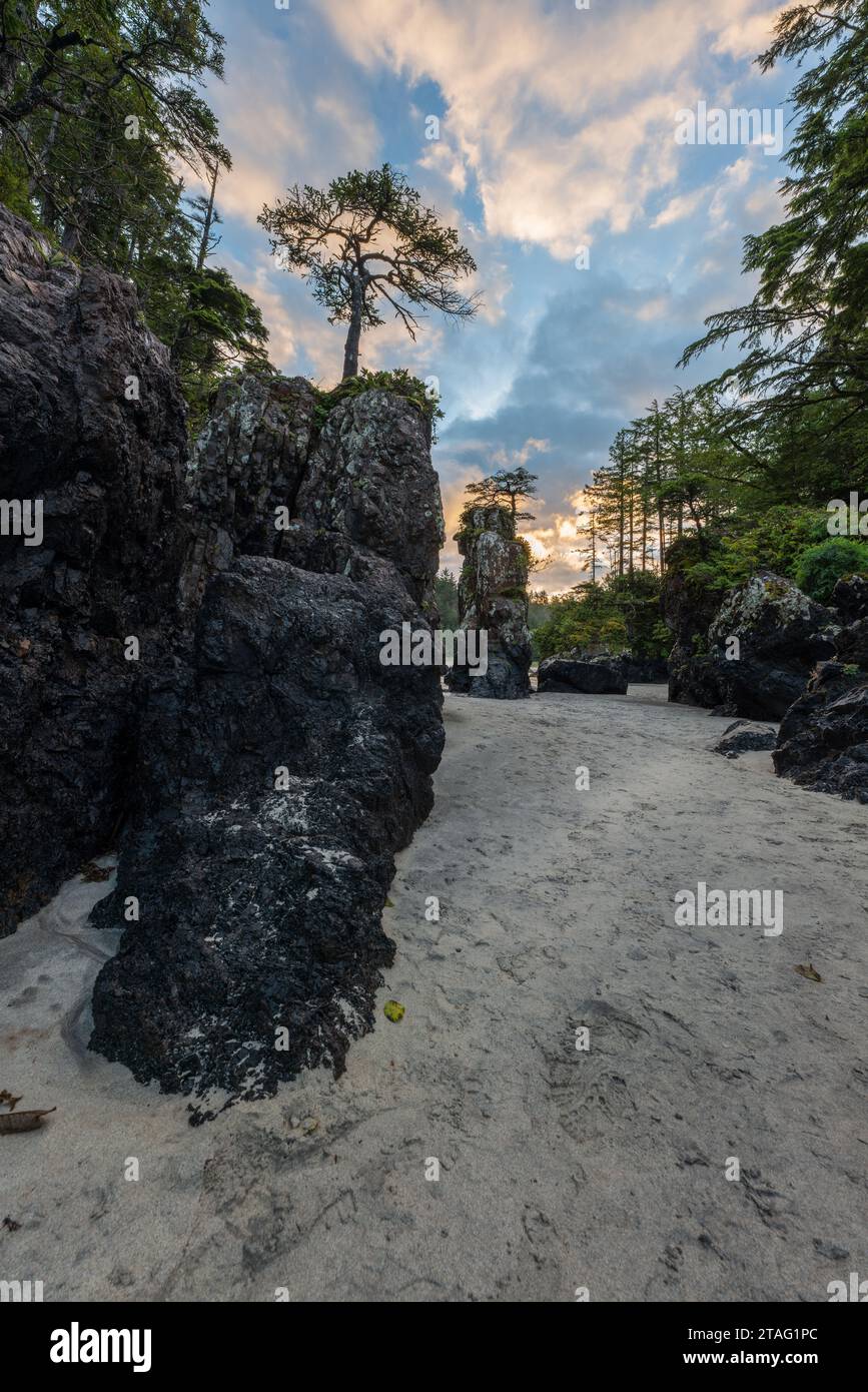 San Josef Bay Sea Stacks at sunset Stock Photo - Alamy