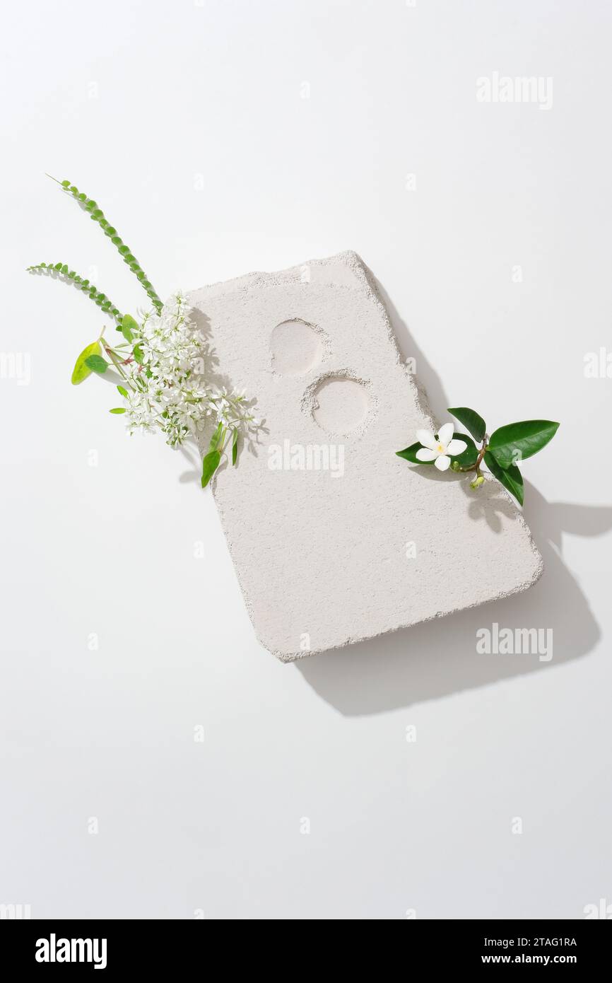 Bea on a flower hi-res stock photography and images - Alamy