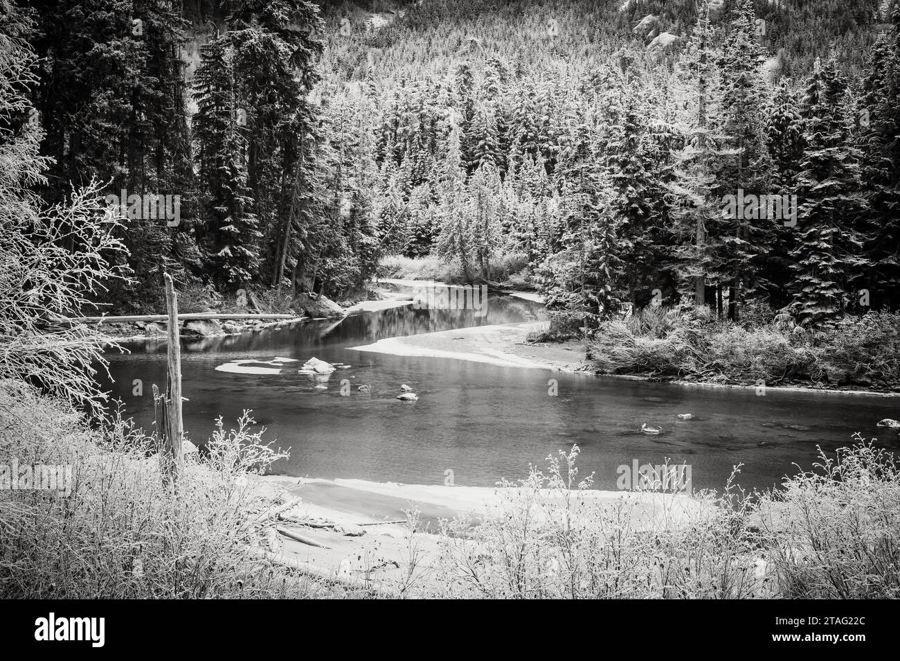 The Soo River in Western British Columbia, near Whistler BC, flows ...