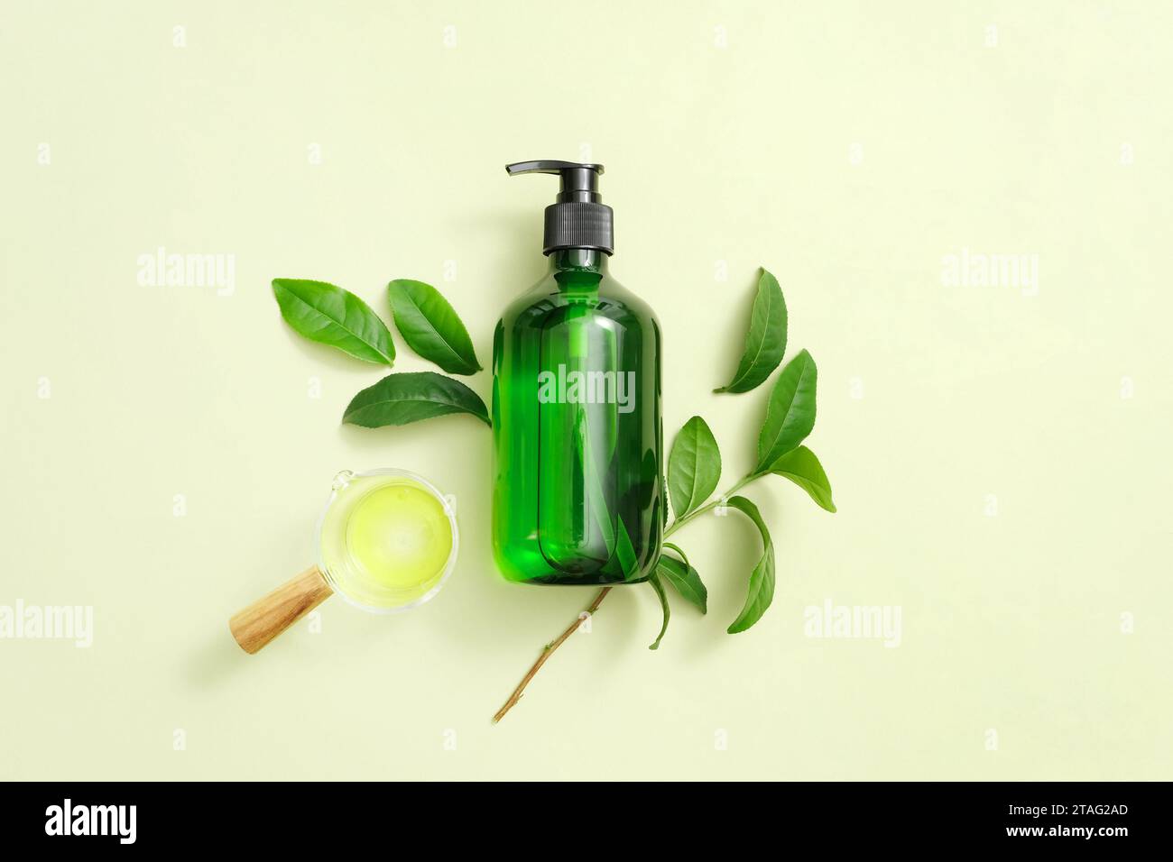 Green, transparent bottle with soap pump on pastel background. Cosmetic ...