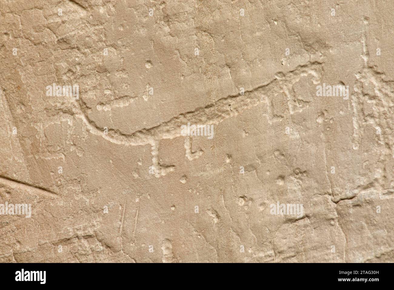 Native American petroglyph along Inscription Rock Trail, El Morro ...