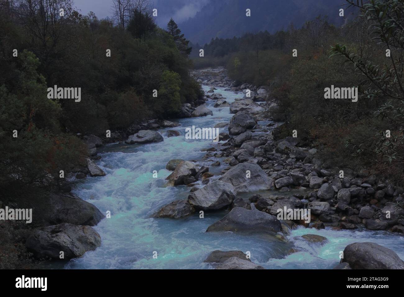 beautiful lachung chu river flowing through the valley covered with ...