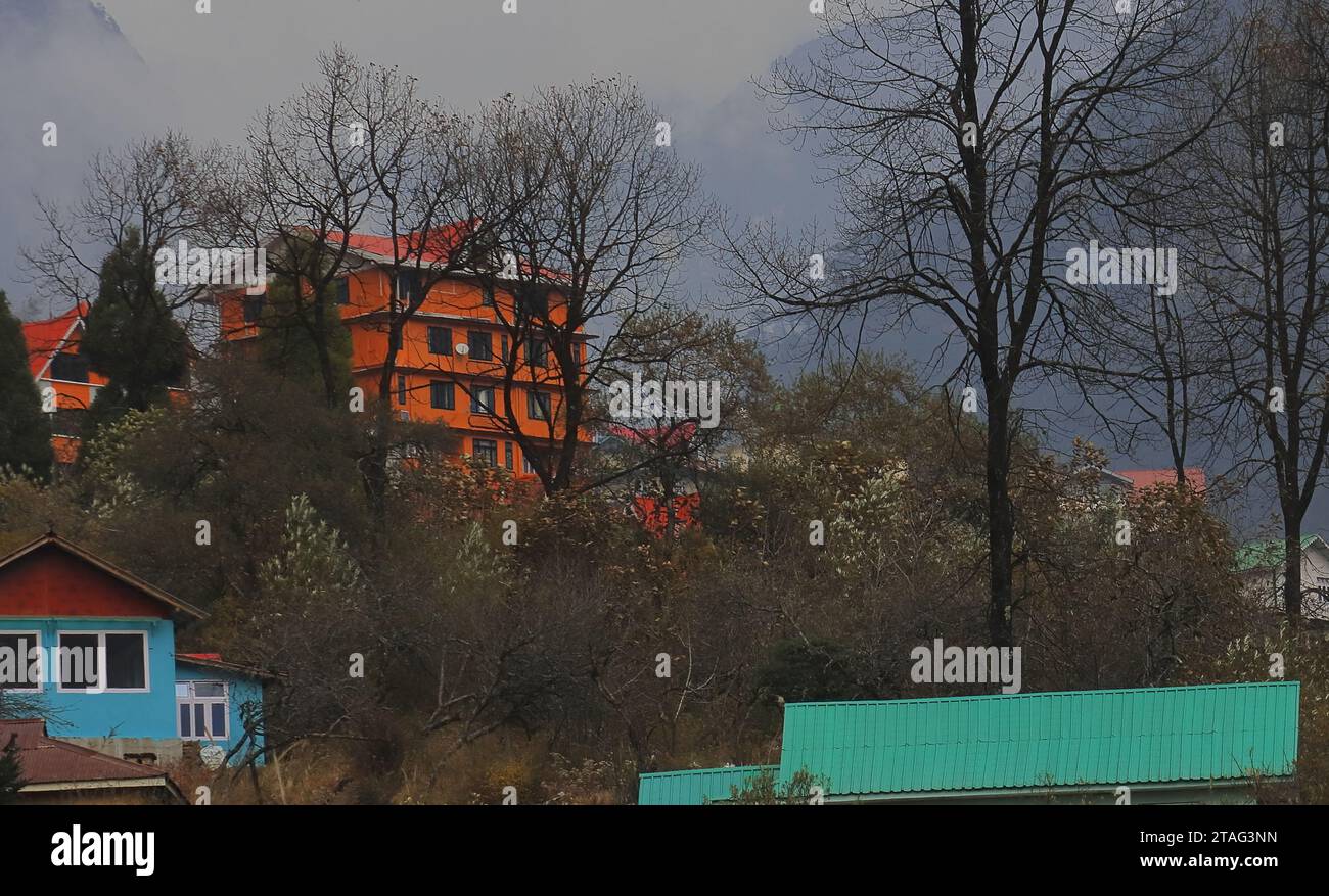 Sikkim tree hi-res stock photography and images - Alamy