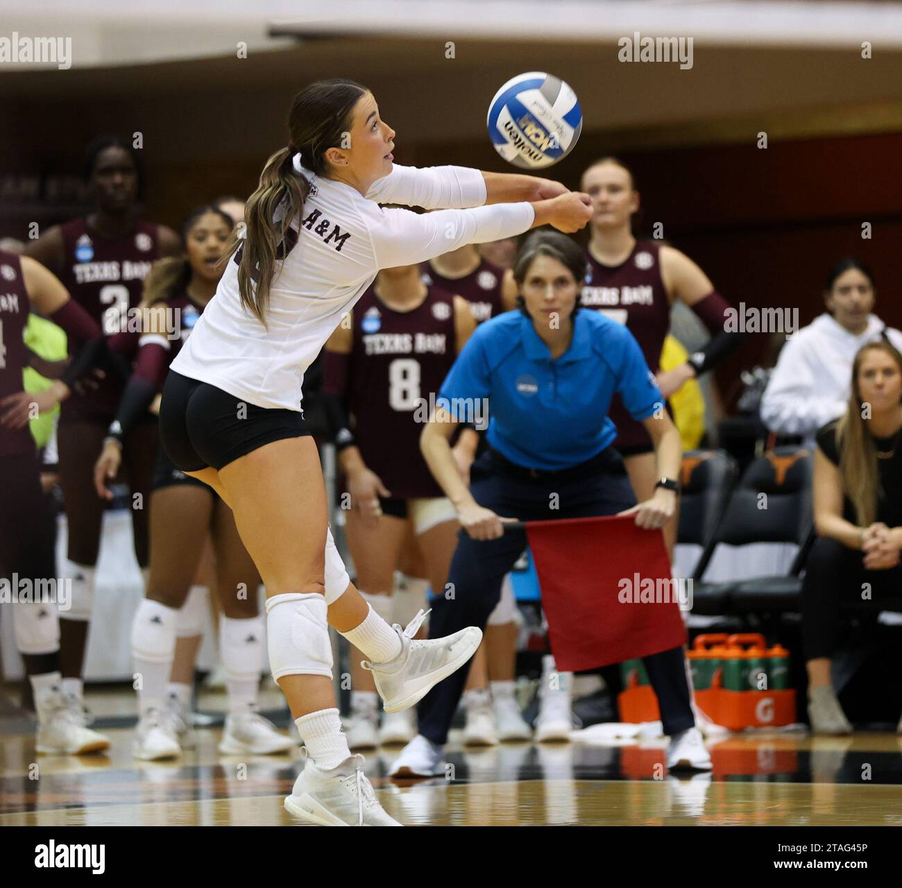 November 30, 2023: Texas A&M libero Ava Underwood (12) digs the ball ...