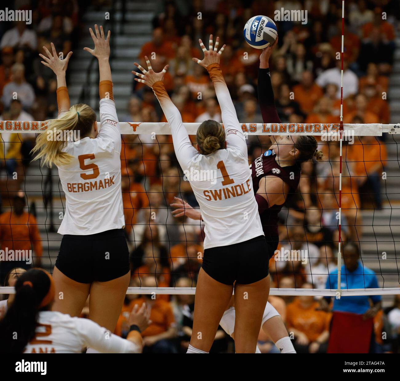 Bella bergmark hi-res stock photography and images - Alamy