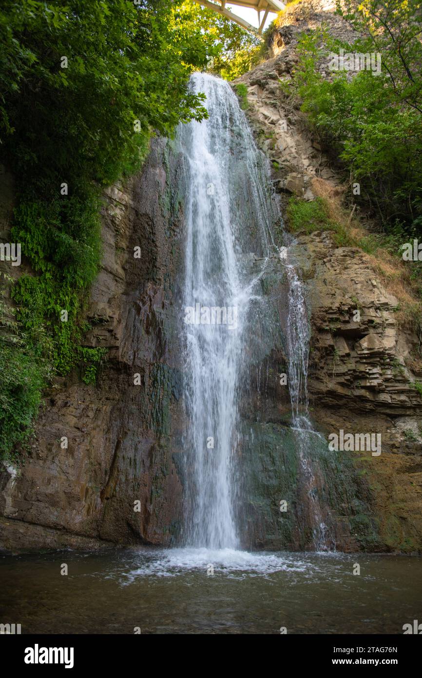 Whispering Leaves, Gushing Waters: Nature's Symphony Stock Photo - Alamy