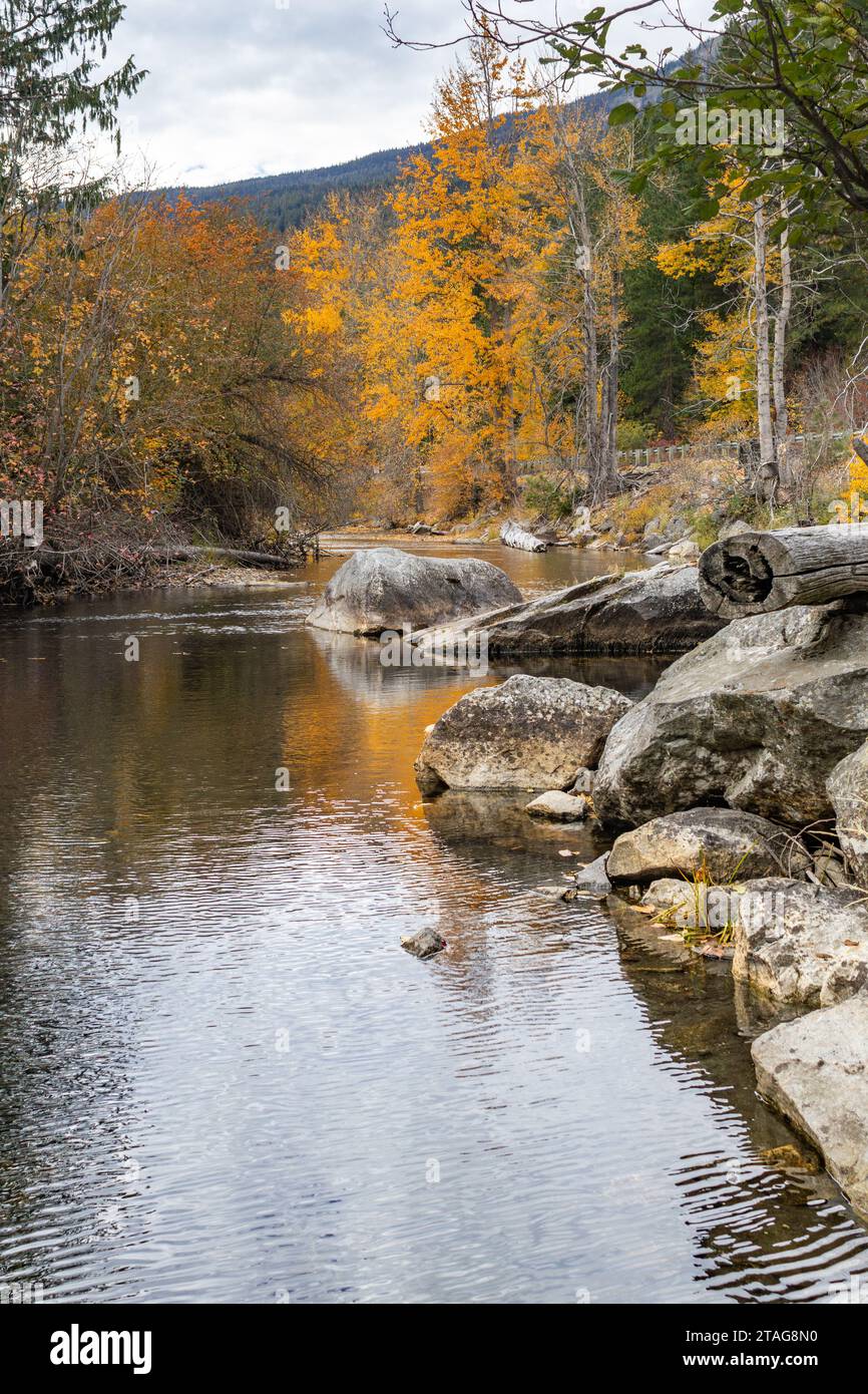Bright autumn foliage and evergreen trees line the Nason River in ...