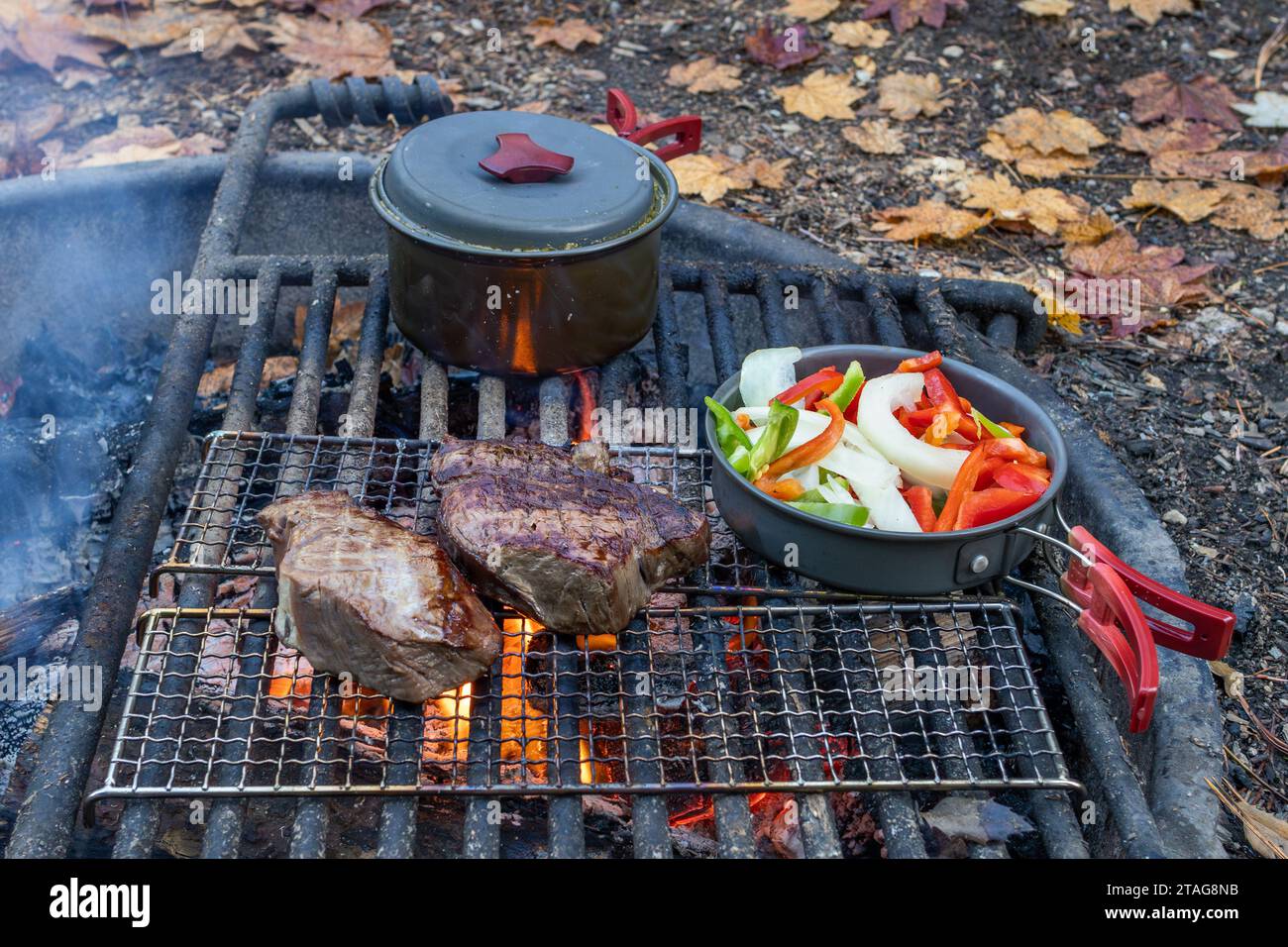 Cooking a meal of grilled meat and veggies over a campfire Stock Photo ...