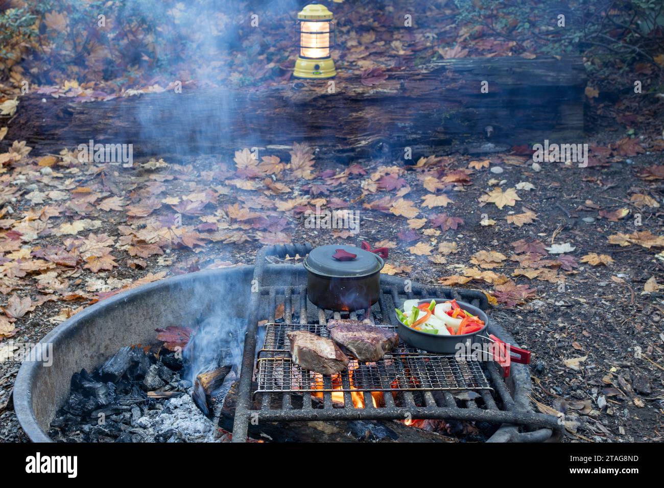 Campfire woods meat hi-res stock photography and images - Alamy