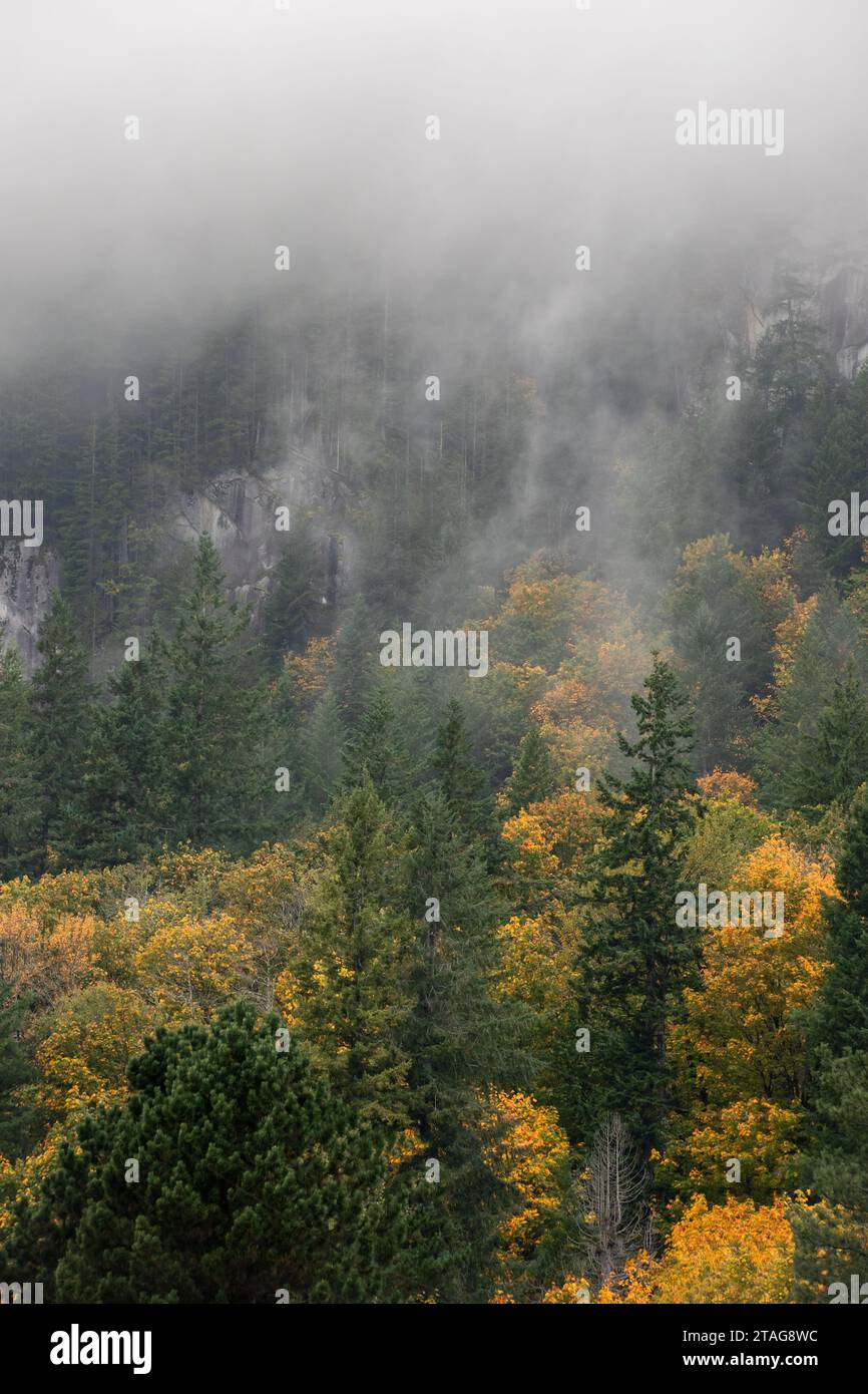 Index wa hi-res stock photography and images - Alamy