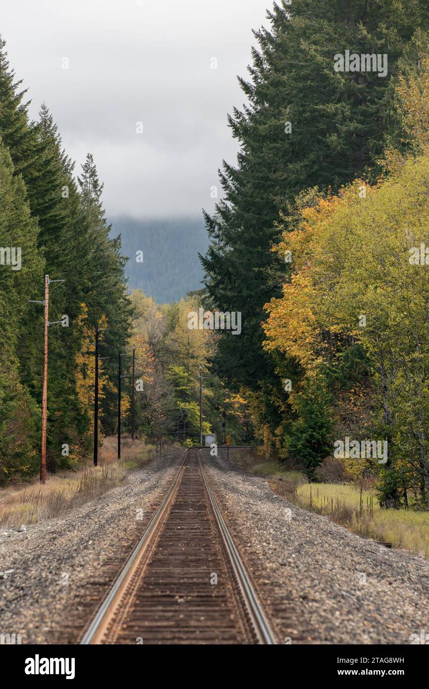 Fall foliage and evergreen trees line the train tracks Stock Photo - Alamy
