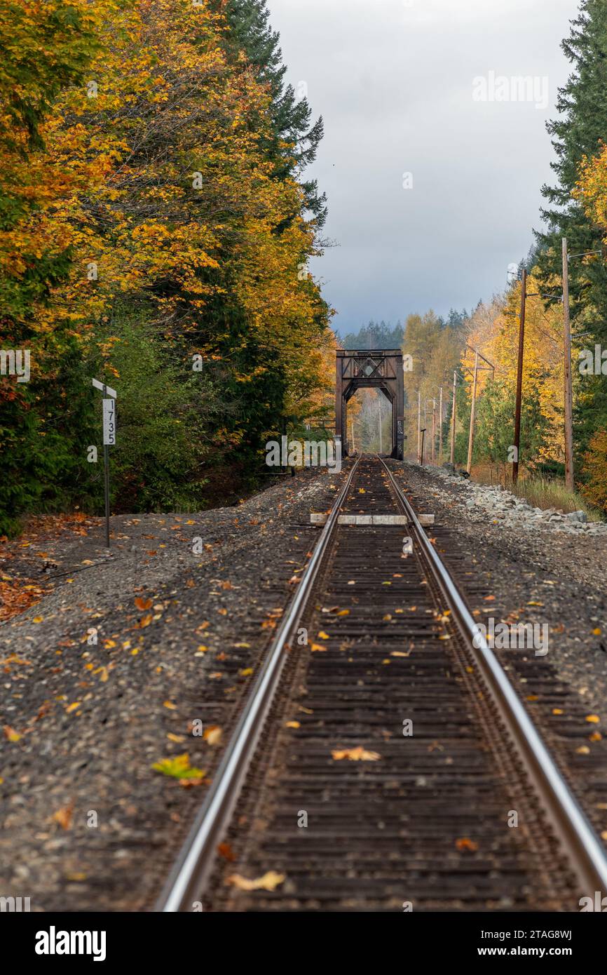 Fall foliage and evergreen trees line the train tracks Stock Photo - Alamy