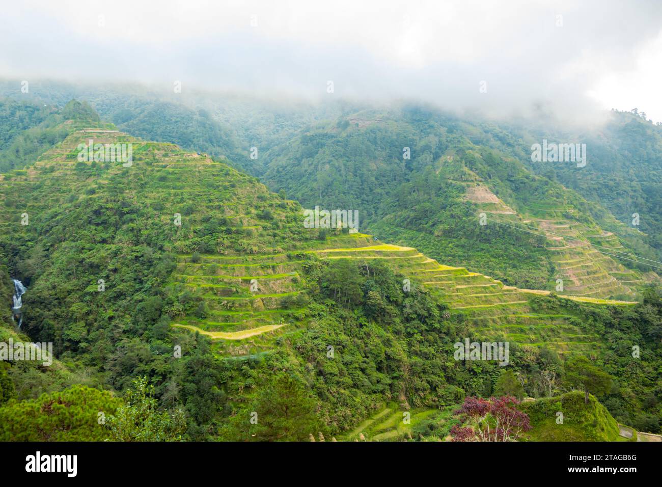 Horizontal image of the Ifugao Rice Terraces, UNESCO world heritage in ...