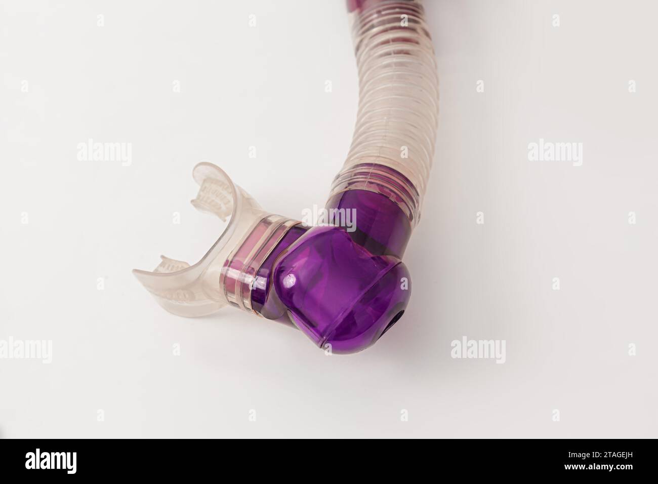 Purple plastic diving and snorkeling mask isolated on white background ...