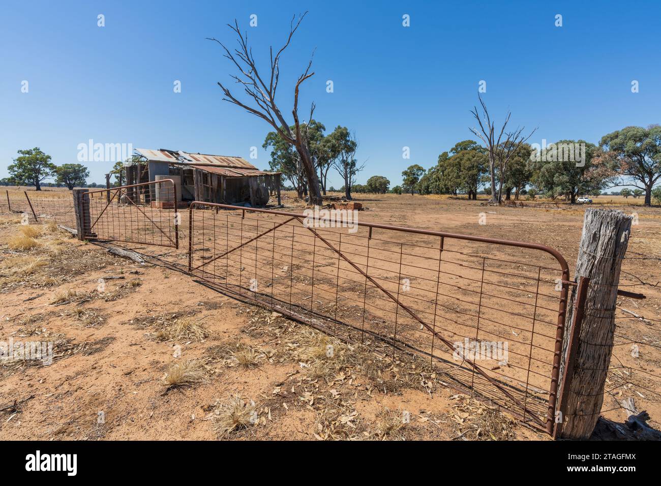 A derelict farm shed behind a rusty farm gate on farm land at Campbells ...