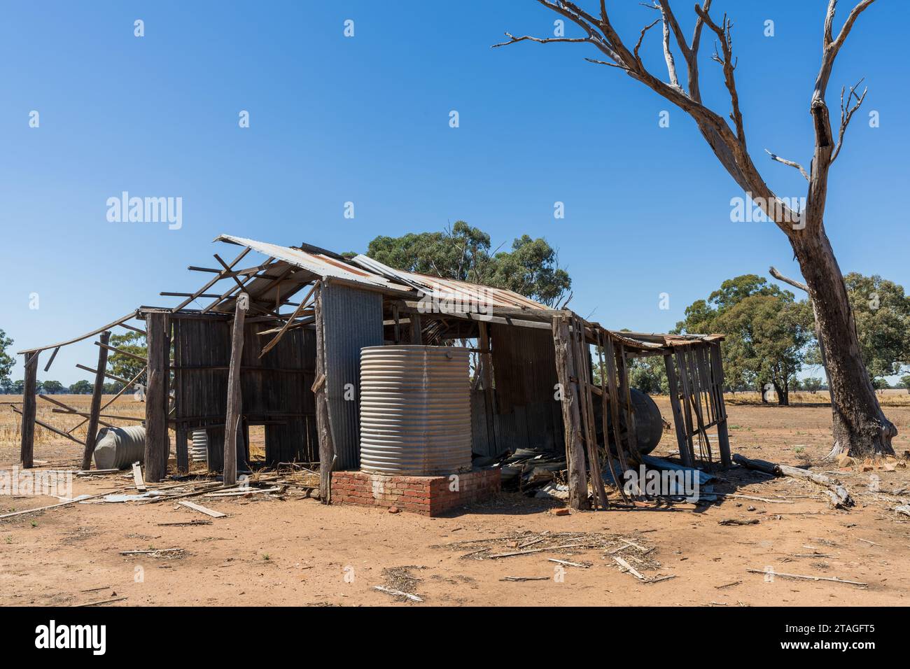 A derelict farm shed made from old rusting corrugated iron and post on ...