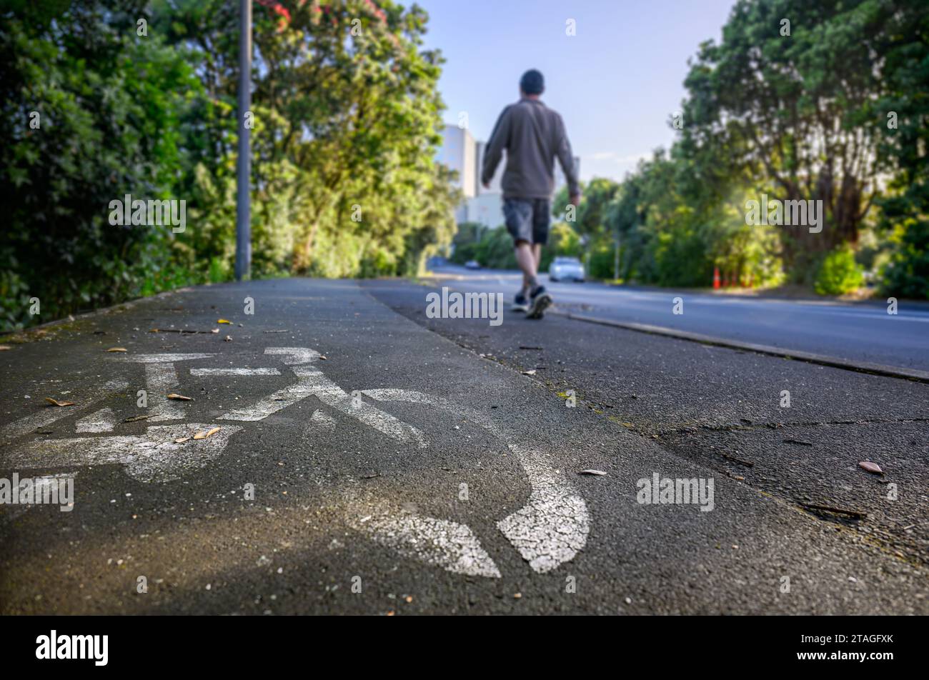Man walking on the painted bike lane shared with pedestrians. Auckland ...
