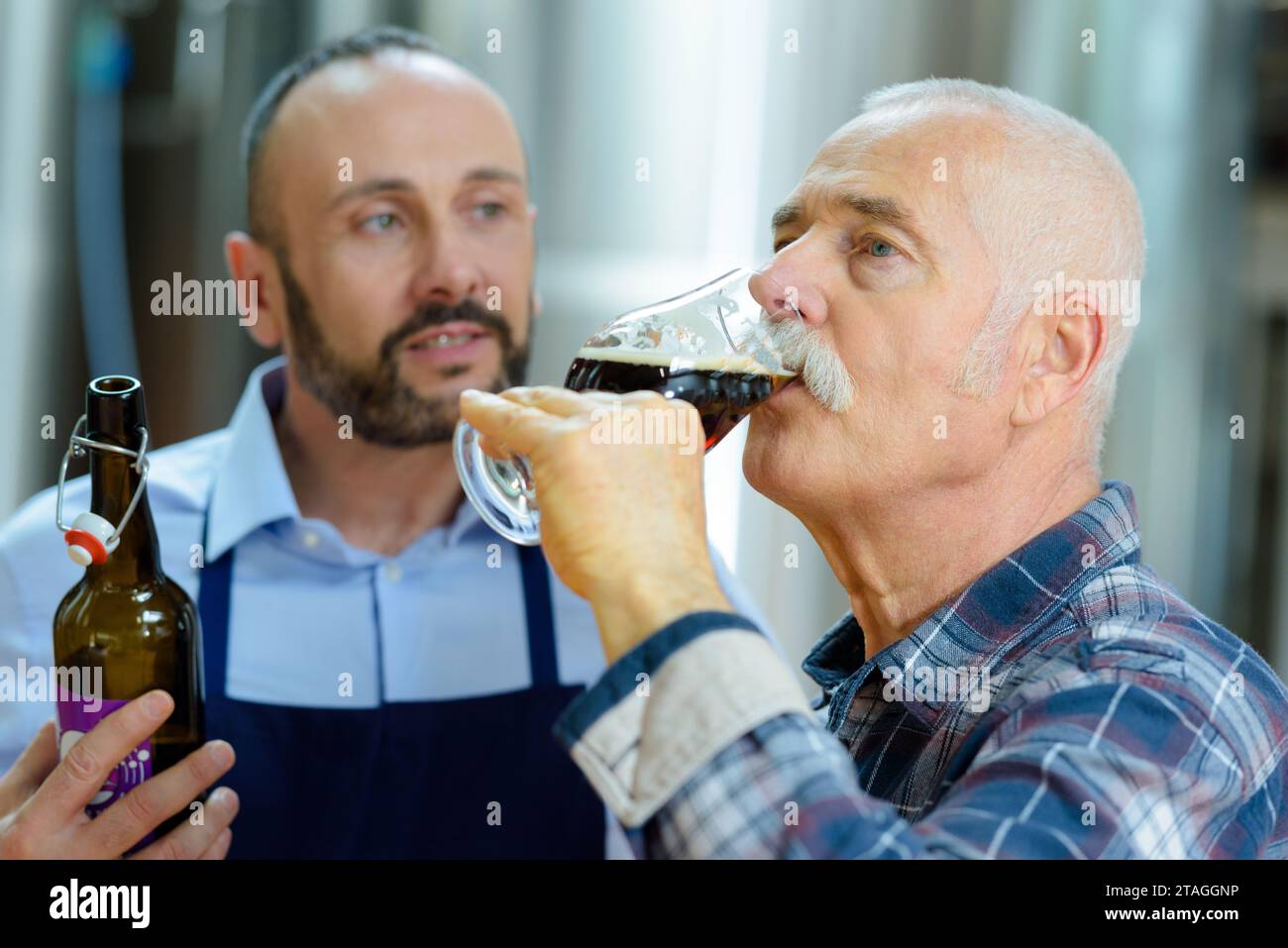 two brewers tasting beer at the brewery Stock Photo - Alamy