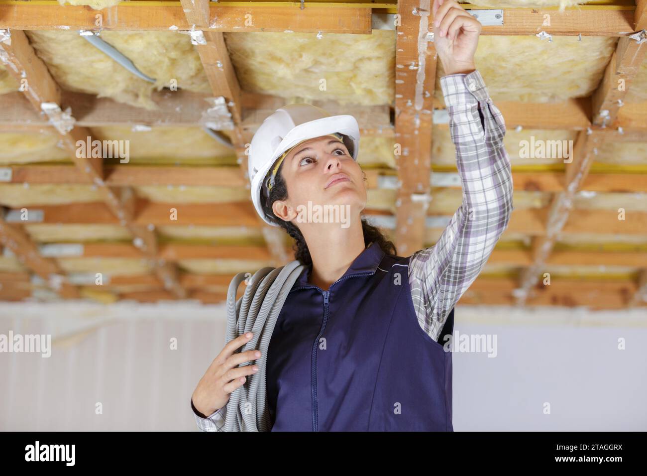 female builder in a property being renovated Stock Photo - Alamy