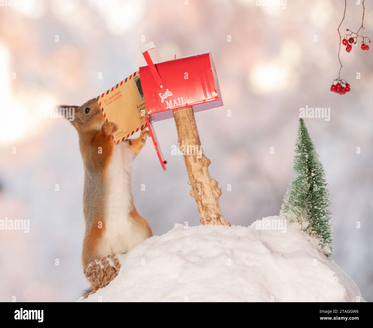 Funny letterbox hi-res stock photography and images - Alamy