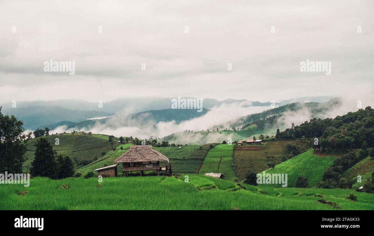 Beautiful landscape view of terraced rice paddy Field and house. Aerial ...