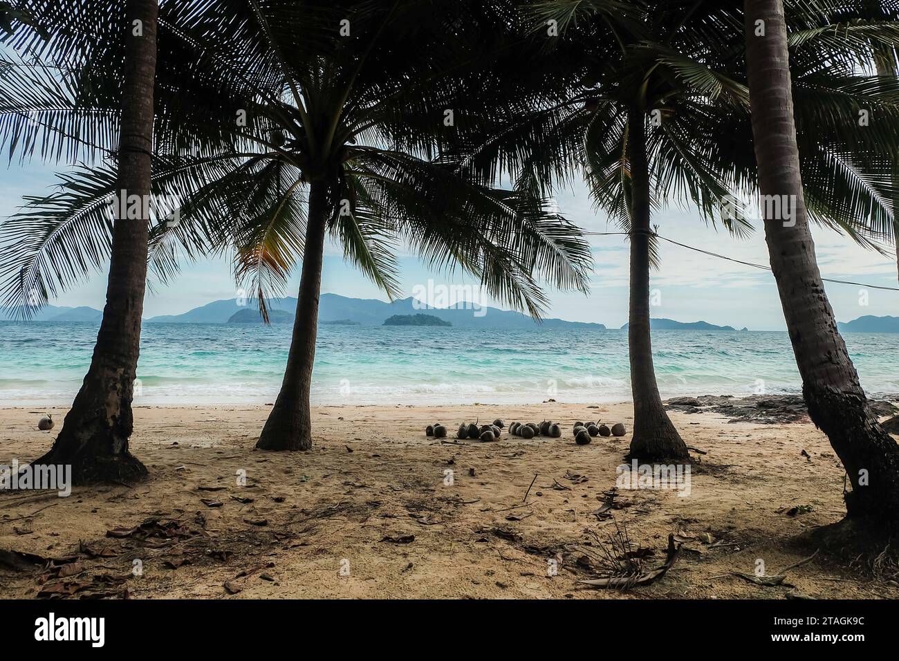 Tropical white sand beach with coco palms and the turquoise sea on ...