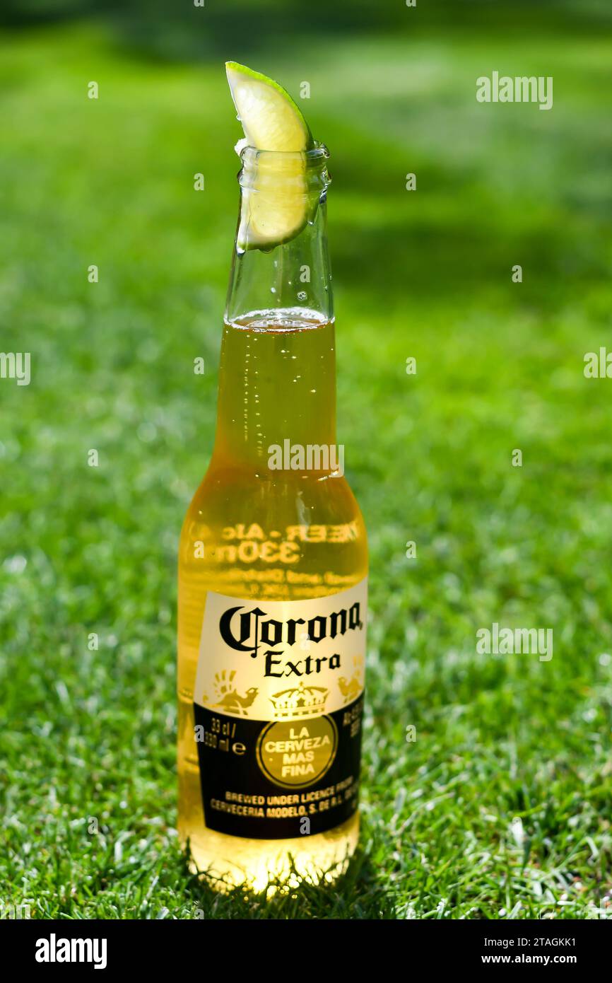 A bottle of Corona extra with a slice of lime sticking out the top in ...