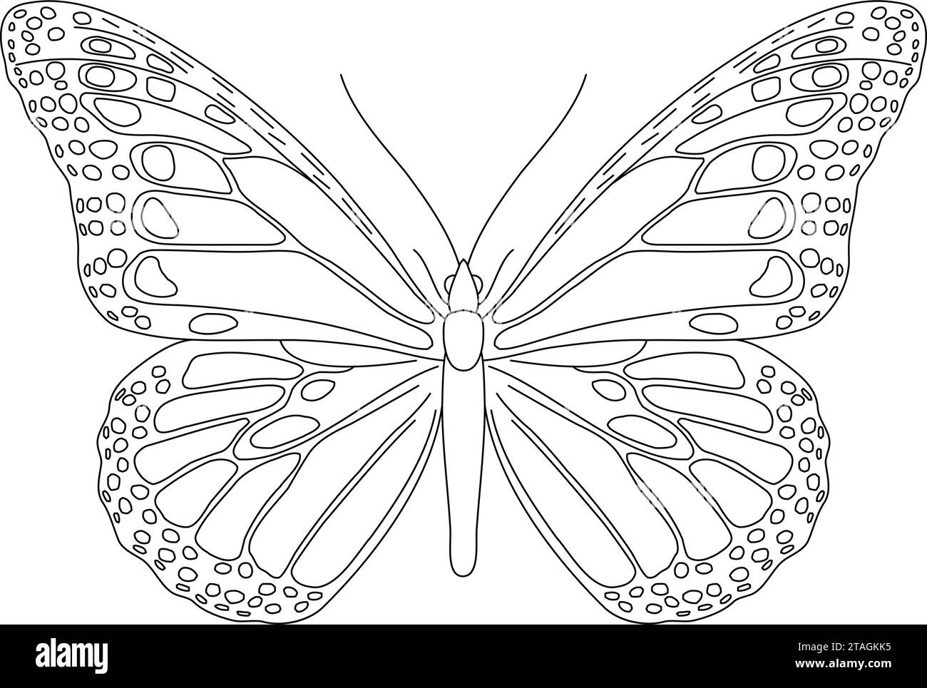 Butterfly With Wings Insect From Black Contour Curves Lines On White
