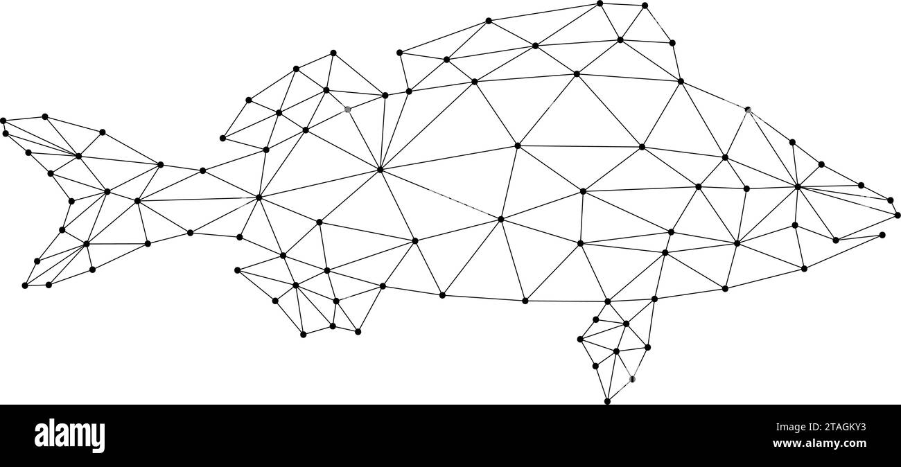 Fish from abstract futuristic polygonal black lines and dots. Vector ...