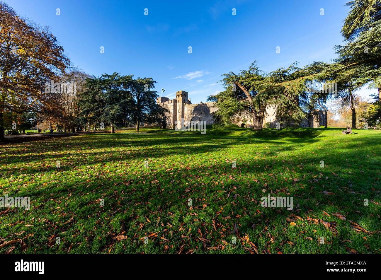 Motte and bailey castle construction hi-res stock photography and ...