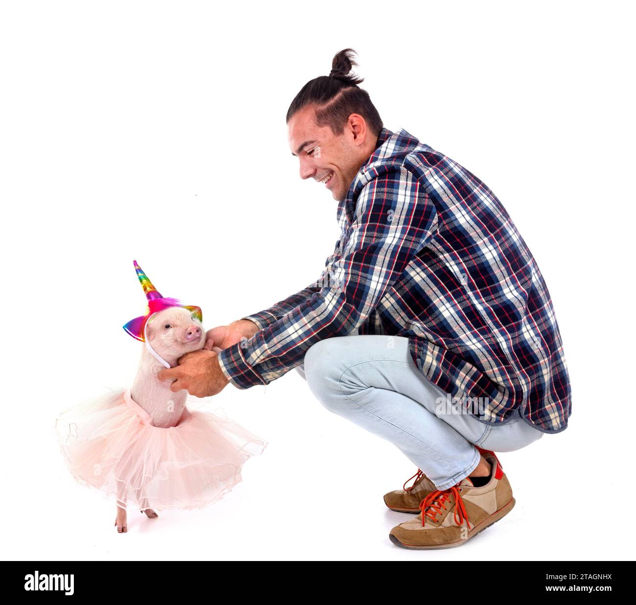 pink miniature pig and man in front of white background Stock Photo - Alamy