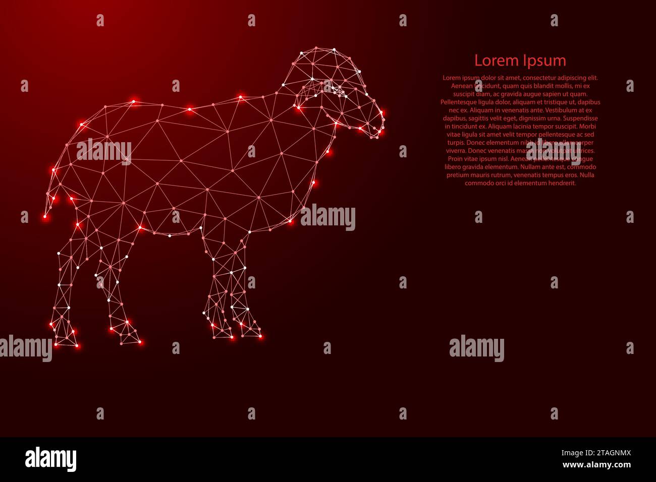 Sheep, cloven-hoof mammalian animal, from futuristic polygonal red ...