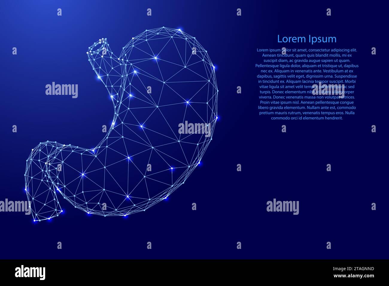 Human stomach, a digestive anatomical organ from futuristic polygonal ...