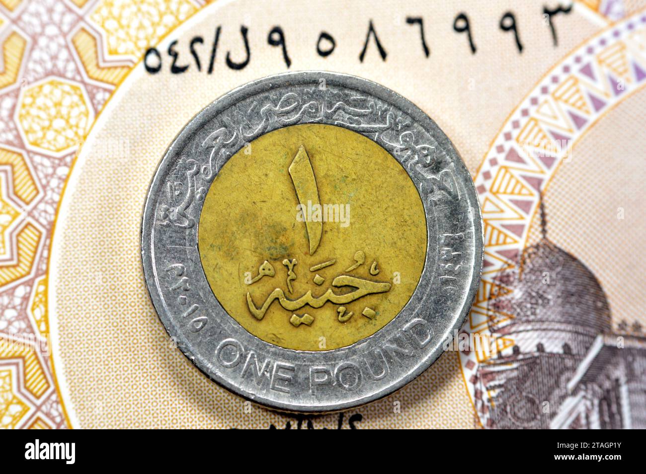 Reverse side date and value of Egyptian 1 LE EGP One Egyptian pound ...