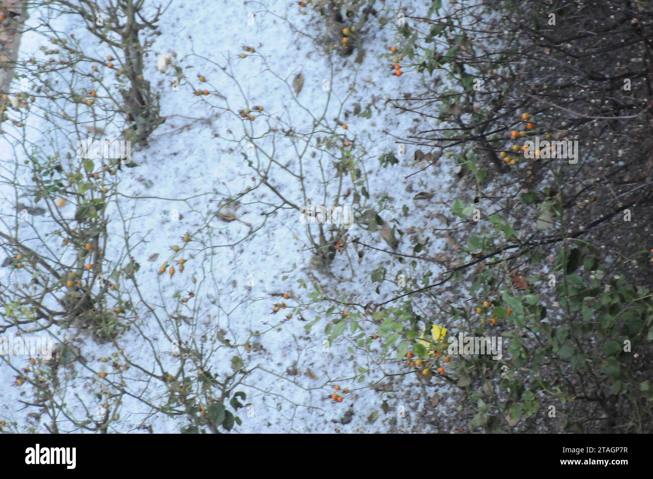 Cold wqinter hi-res stock photography and images - Alamy