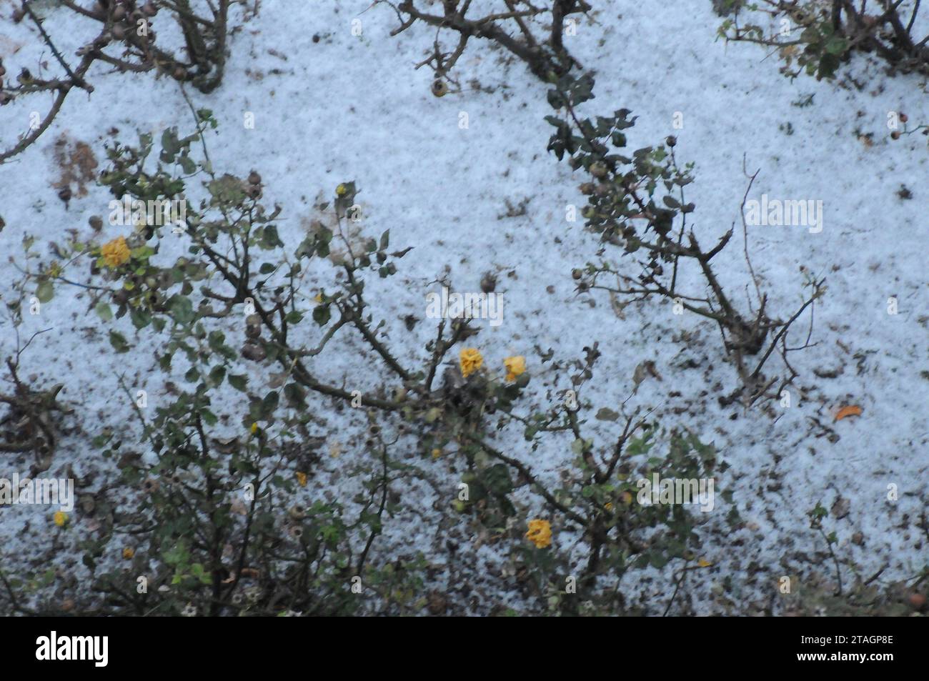 Cold wqinter hi-res stock photography and images - Alamy