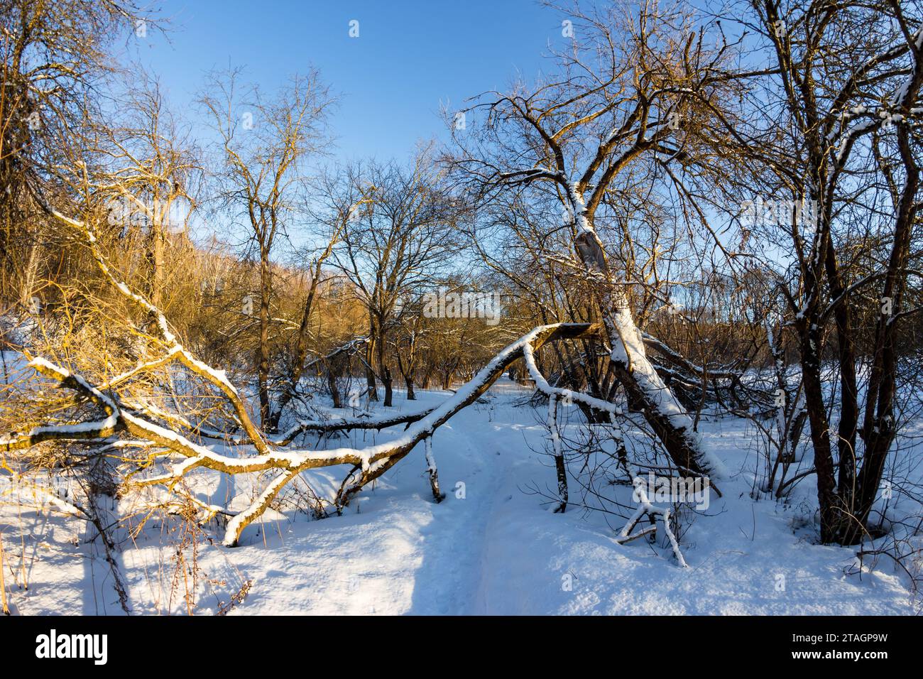 Blocking his path hi-res stock photography and images - Alamy