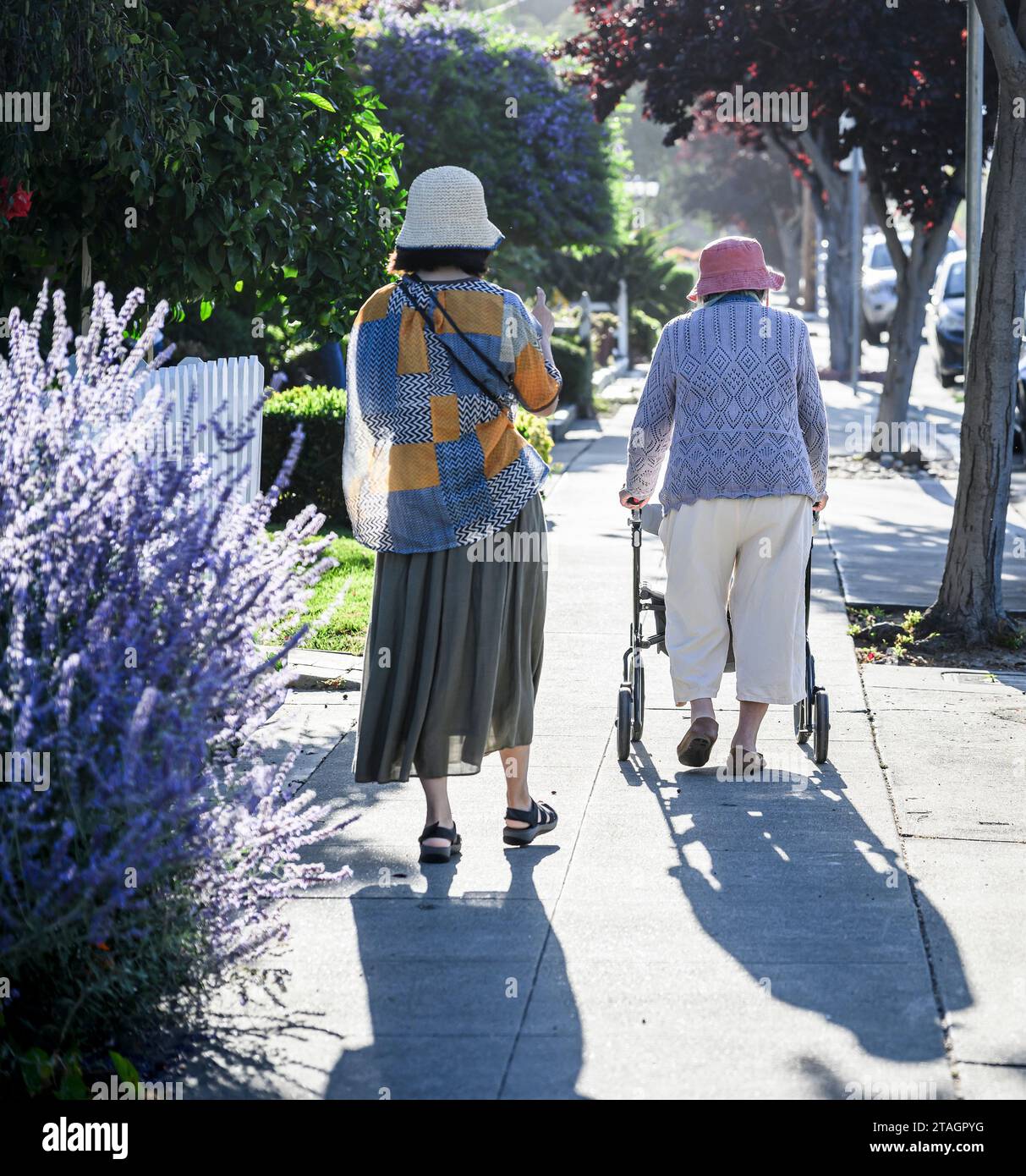 Senior woman walking using a mobility walker on the pedestrian footpath ...