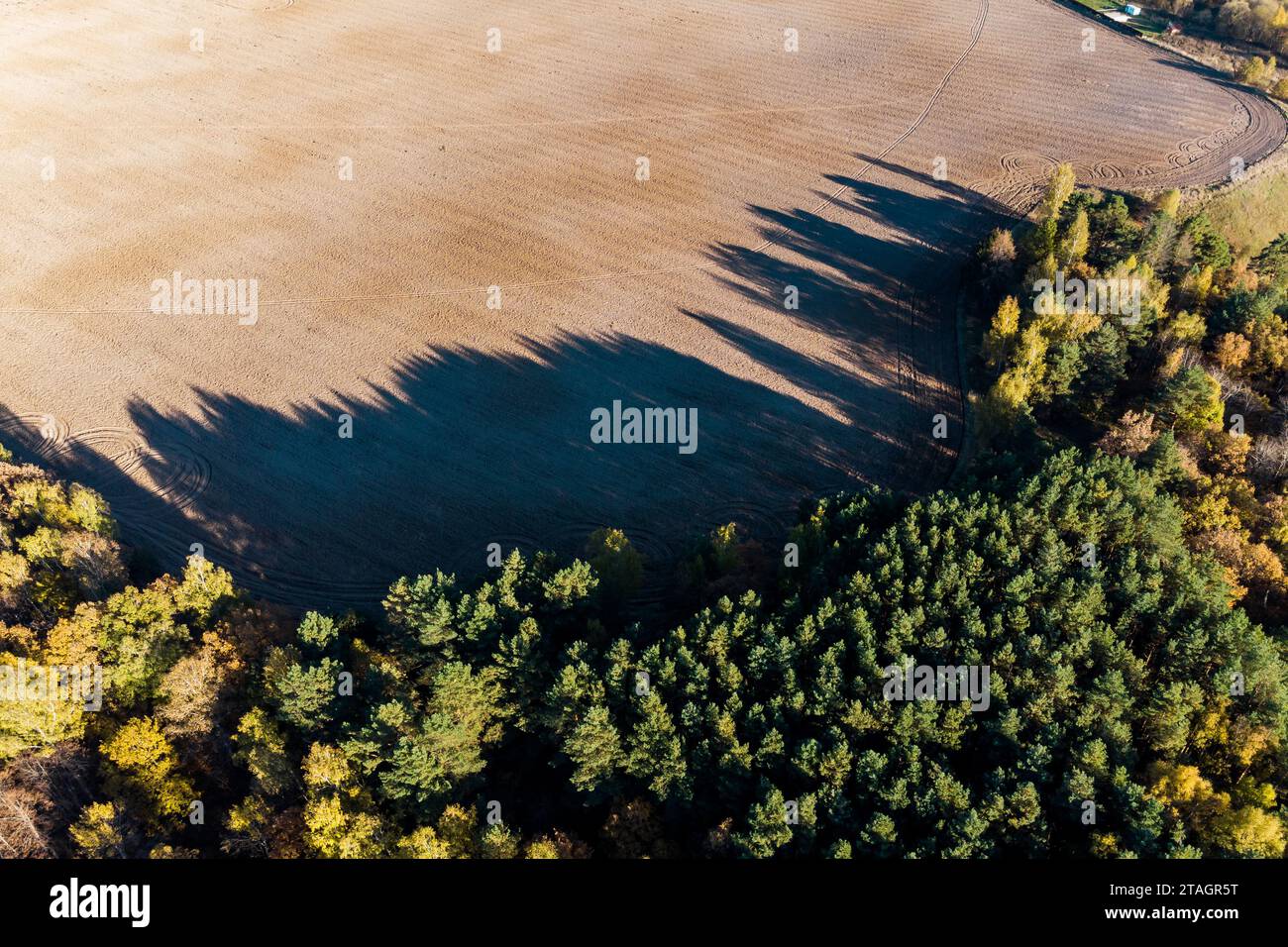 Long shadows cast from hi-res stock photography and images - Alamy